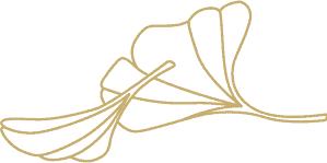 Menus – Gouqi